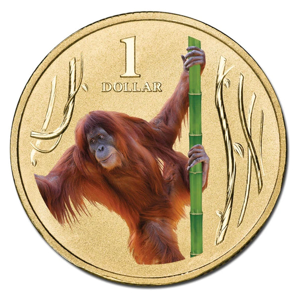 2012 $1 Australian Coloured Zoo Animal Series Uncirculated Coin - Oran ...